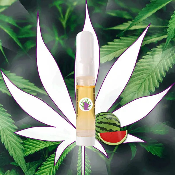 NEU! CBN Kartusche "Watermelon" - 95% CBN - CBD Hexe Onlinehandel