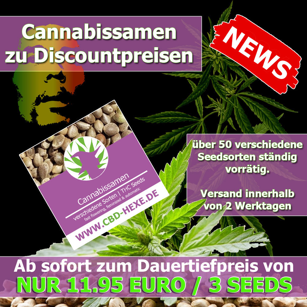 CBD Hexe® | Premium CBD-Produkte für natürliches Wohlbefinden