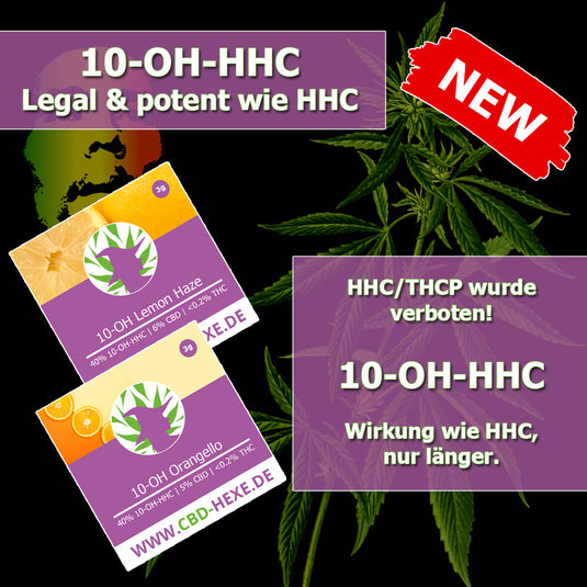 CBD Hexe® | Premium CBD-Produkte für natürliches Wohlbefinden